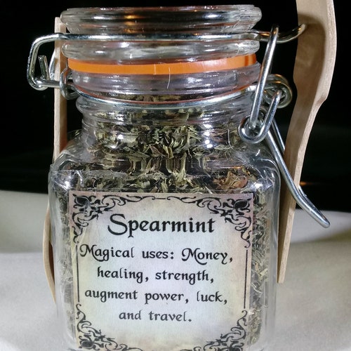 Butcher's Broom Jar & Herb - Etsy