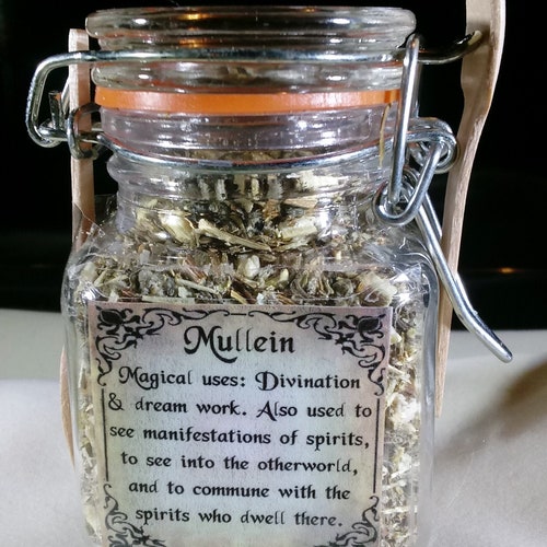 Nettle Herb & Jar | Etsy