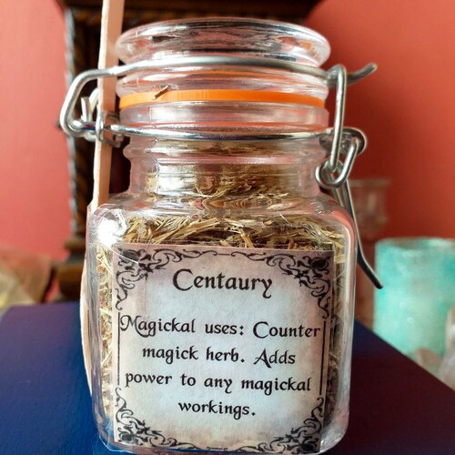 Nettle Herb & Jar - Etsy