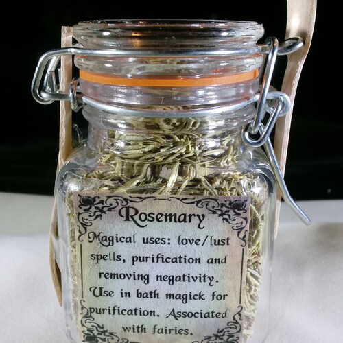 Nettle Herb & Jar | Etsy