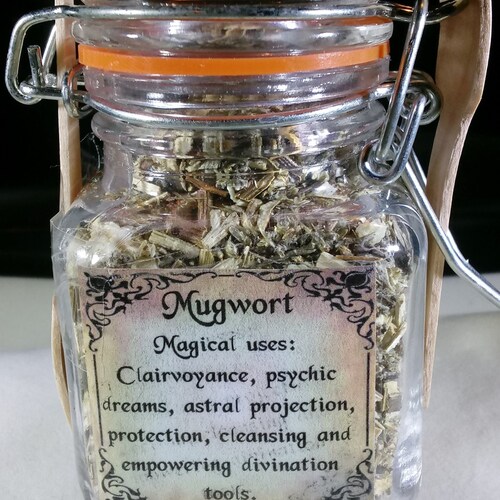 Nettle Herb & Jar - Etsy