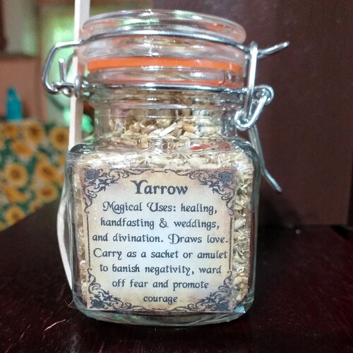 Nettle Herb & Jar - Etsy