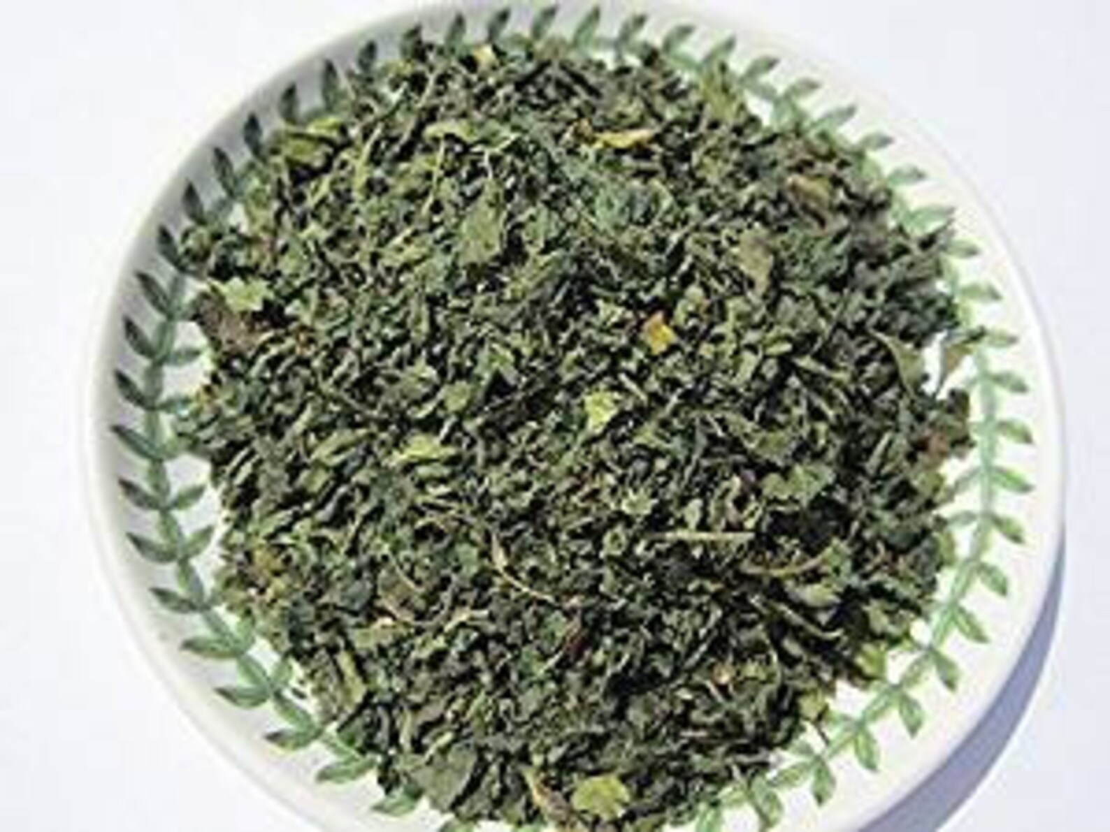 Nettle Herb & Jar - Etsy