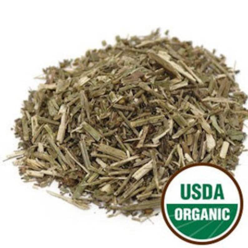 Vervain Herb & Jar - Etsy
