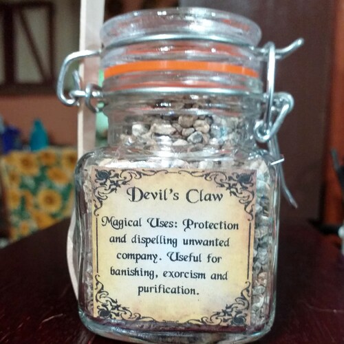 Devil's Claw Herb & Jar | Etsy