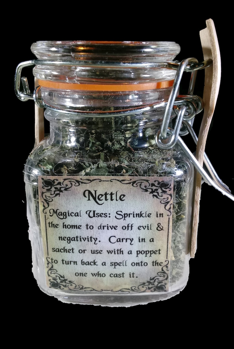 Nettle Herb & Jar - Etsy
