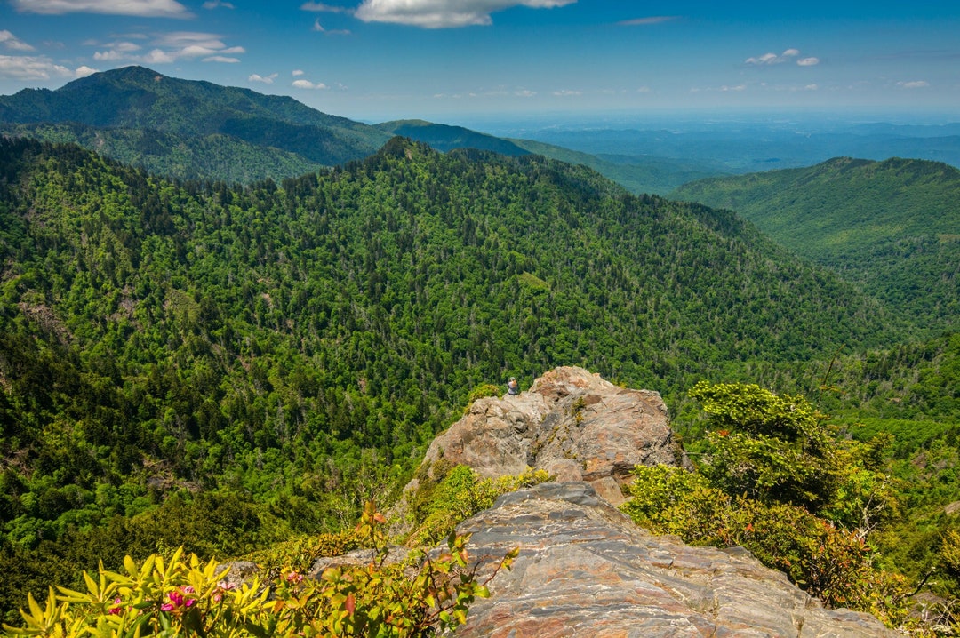Charlies Bunion, Newfound Gap, Appalachian Trail, Hiking, Mountains ...