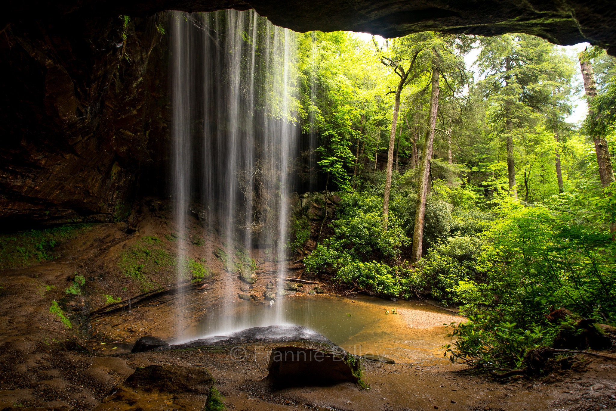 Northrup Falls Colditz Cove State Natural Area Tennessee | Etsy