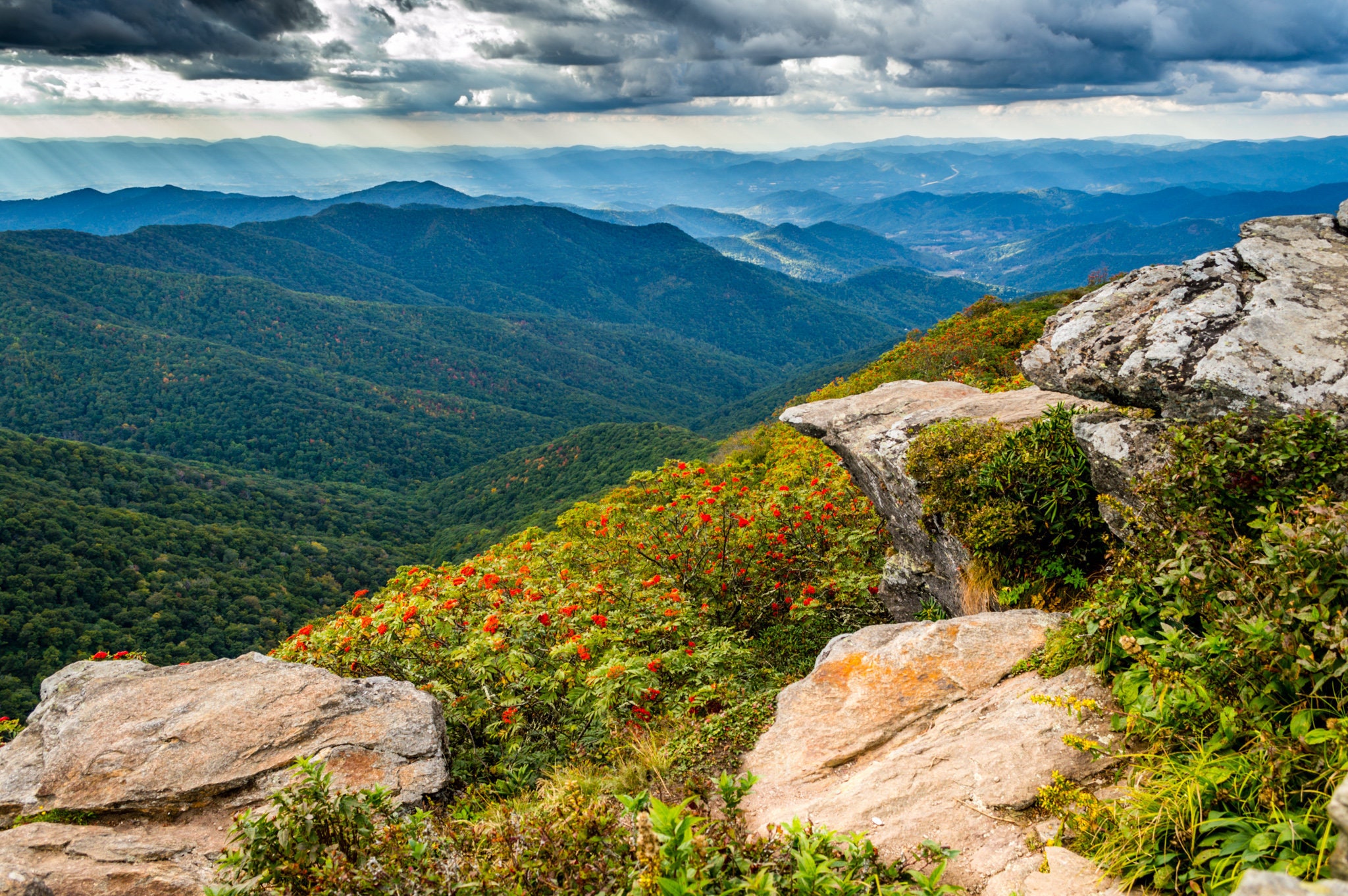 Craggy Gardens Craggy Gardens Pinnacle Summit Mountains | Etsy