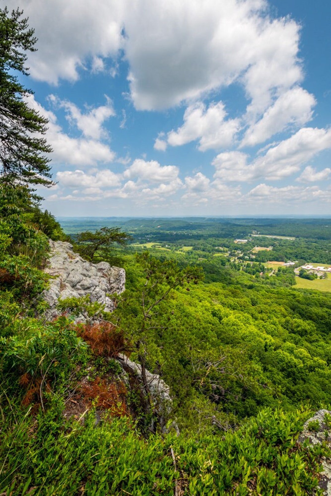 Lula Lake Land Trust, Lookout Mountain, Georgia, Overlook, Bluff Trail ...