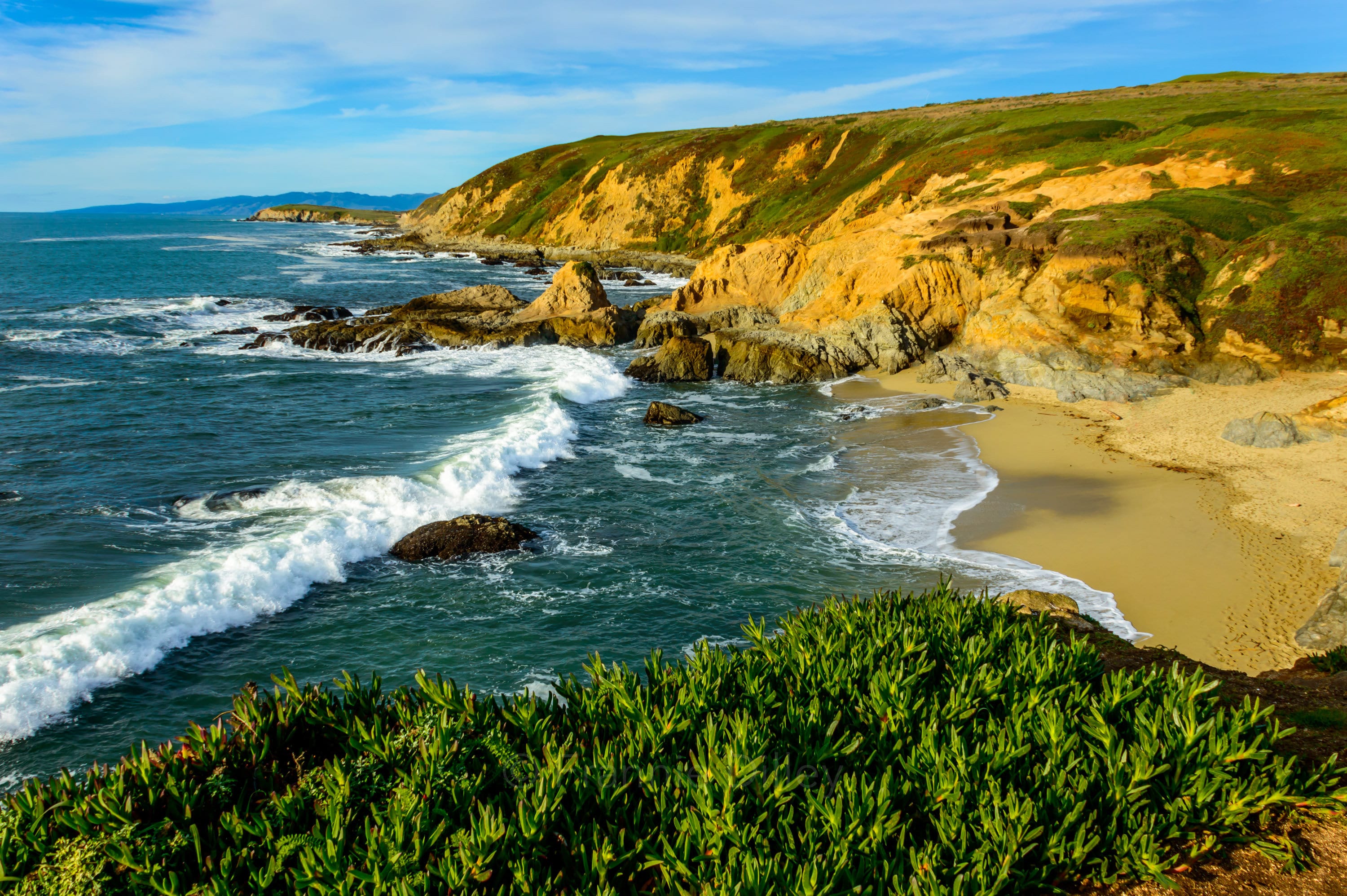 Bodega Head, Photograph Print, Wall Art, Fine Art, Home Décor ...
