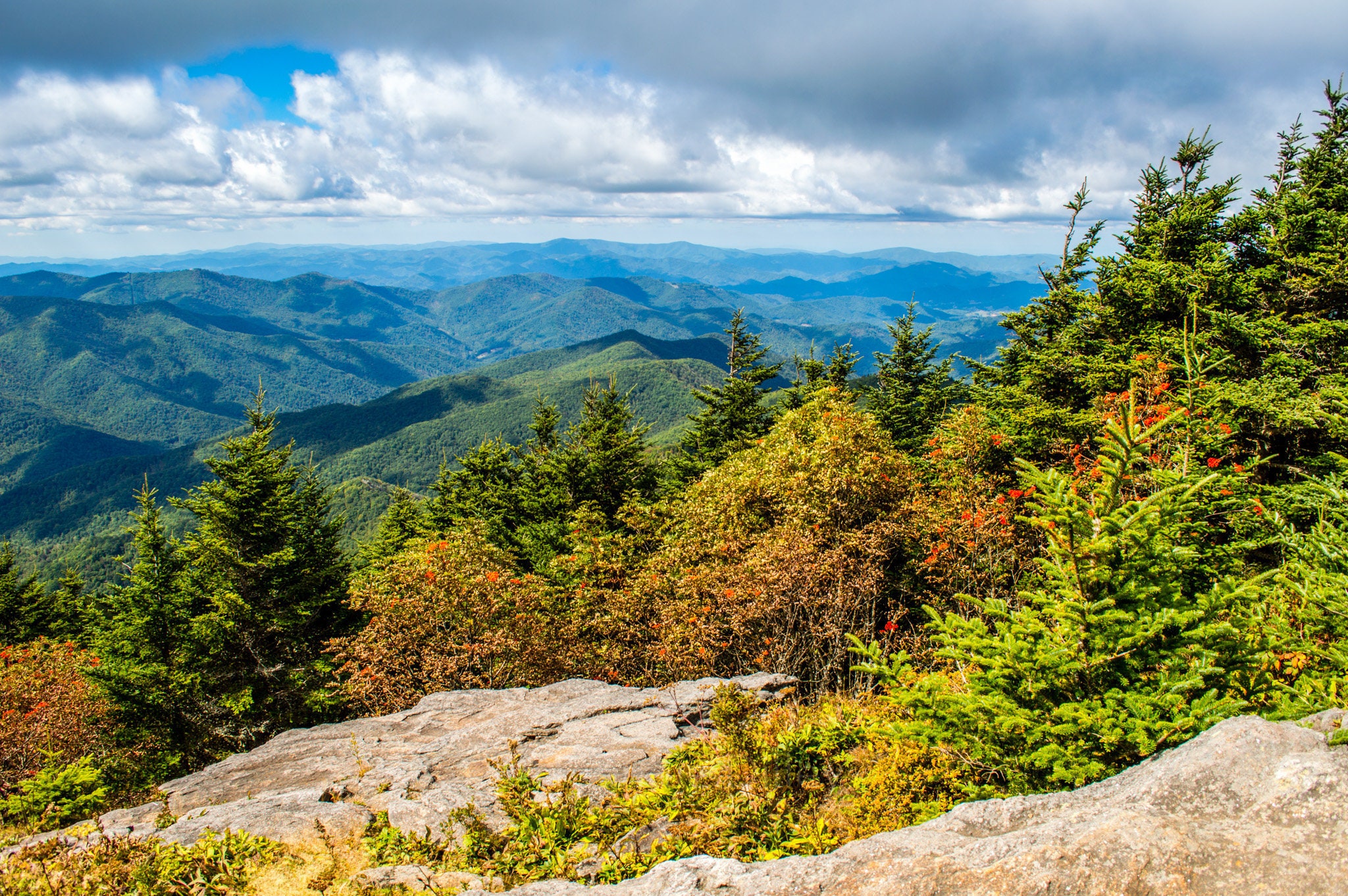 Mount Mitchell State Park, Mountains, Hiking, Spring, Blue Ridge ...