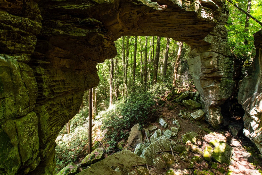 Split Bow Arch, Natural Bridge, Strunk, Kentucky, Hiking, Cliffs ...