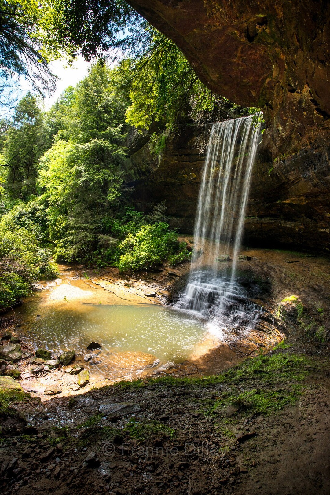Northrup Falls Colditz Cove State Natural Area Tennessee Waterfalls ...