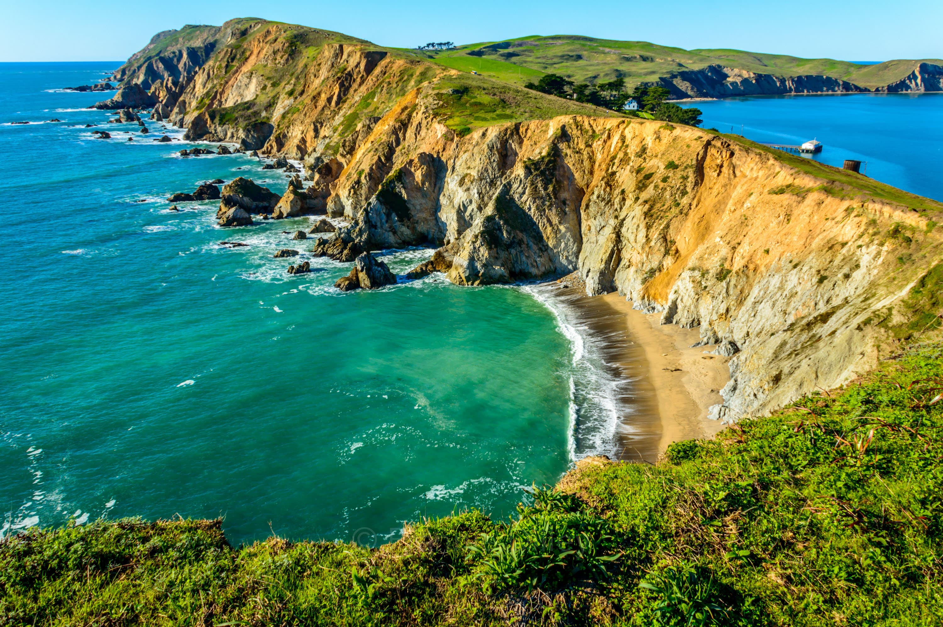 Point Reyes National Seashore, Olema, Photograph Print, Wall Art, Home ...