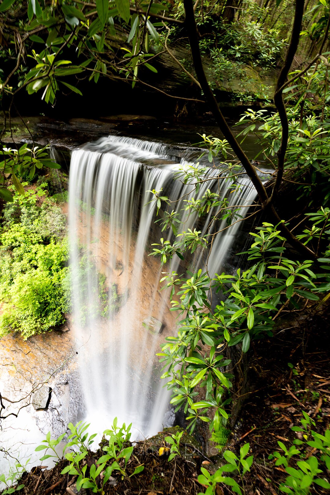 Northrup Falls Colditz Cove State Natural Area Tennessee Waterfalls ...