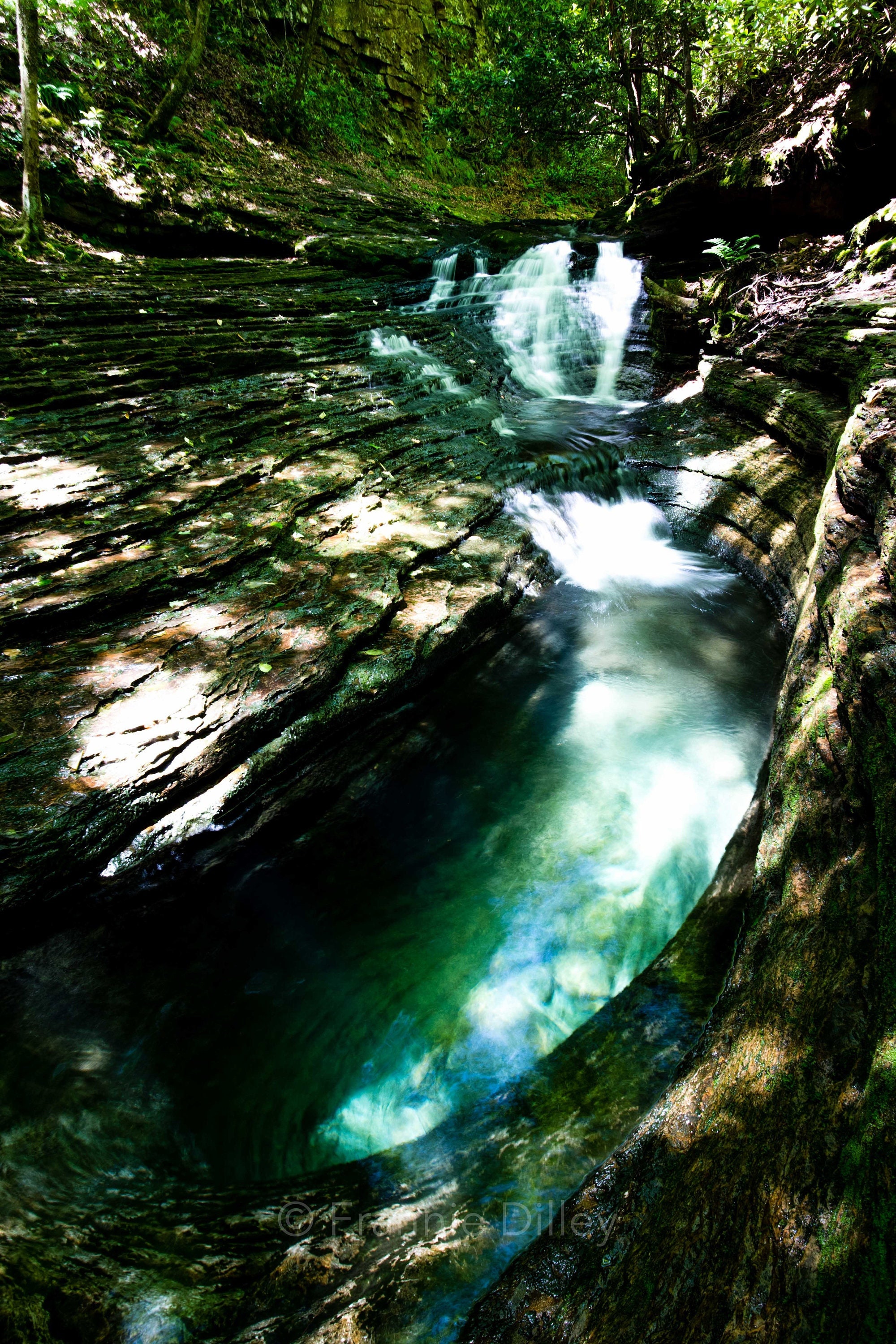 Devil's Bathtub,devils Fork Loop Trail,waterfall,tropical Blue Water ...