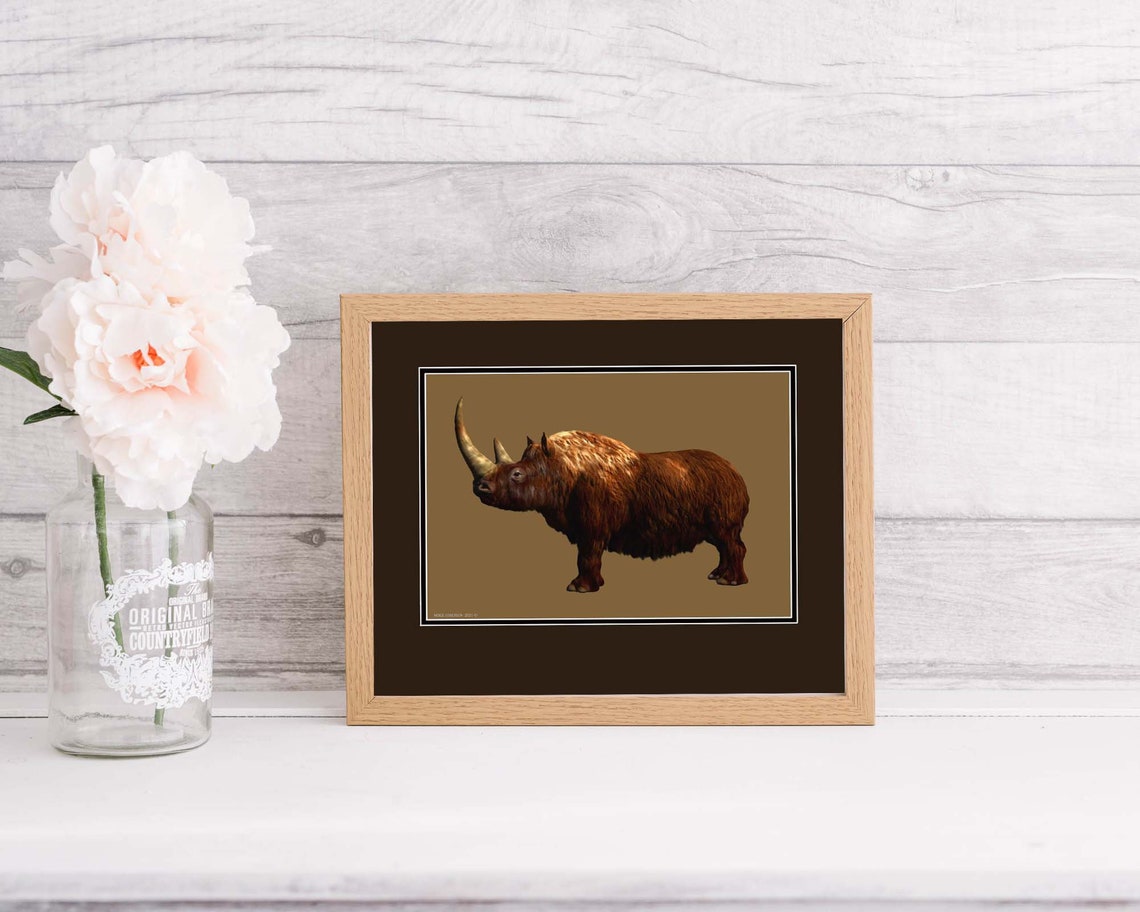 Woolly Rhinoceros Ice Age Extinct Rhino Digital Download Print ...