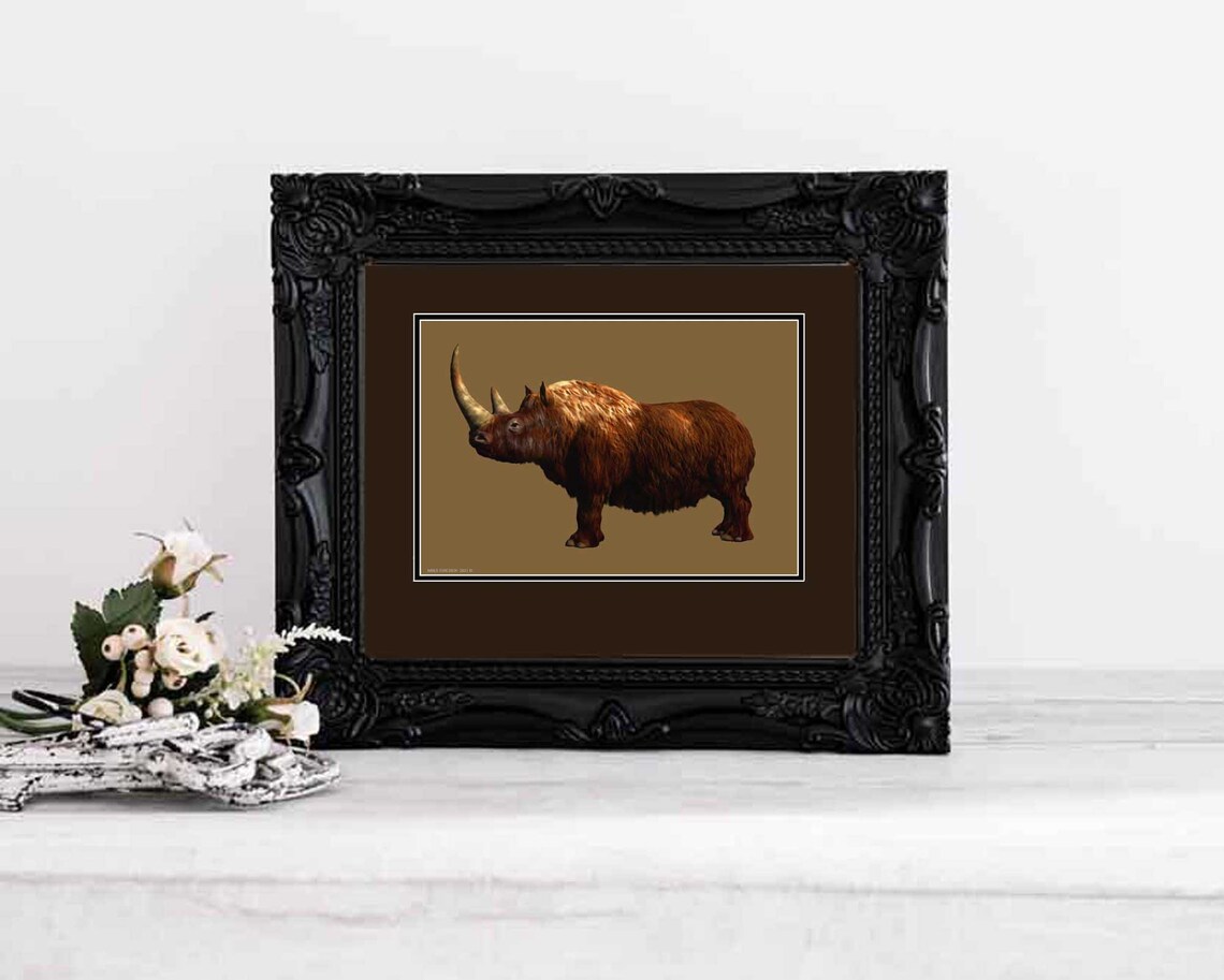 Woolly Rhinoceros Ice Age Extinct Rhino Digital Download Print ...