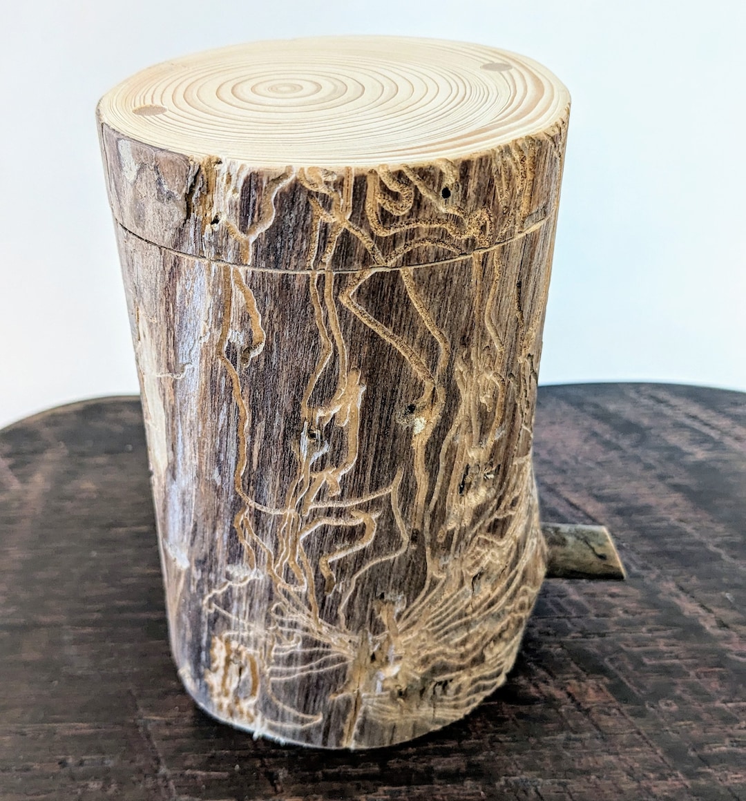 Wood Urns, Tree Branch Keepsake, Urn for Partial Cremation Ashes, 3 1/4 ...