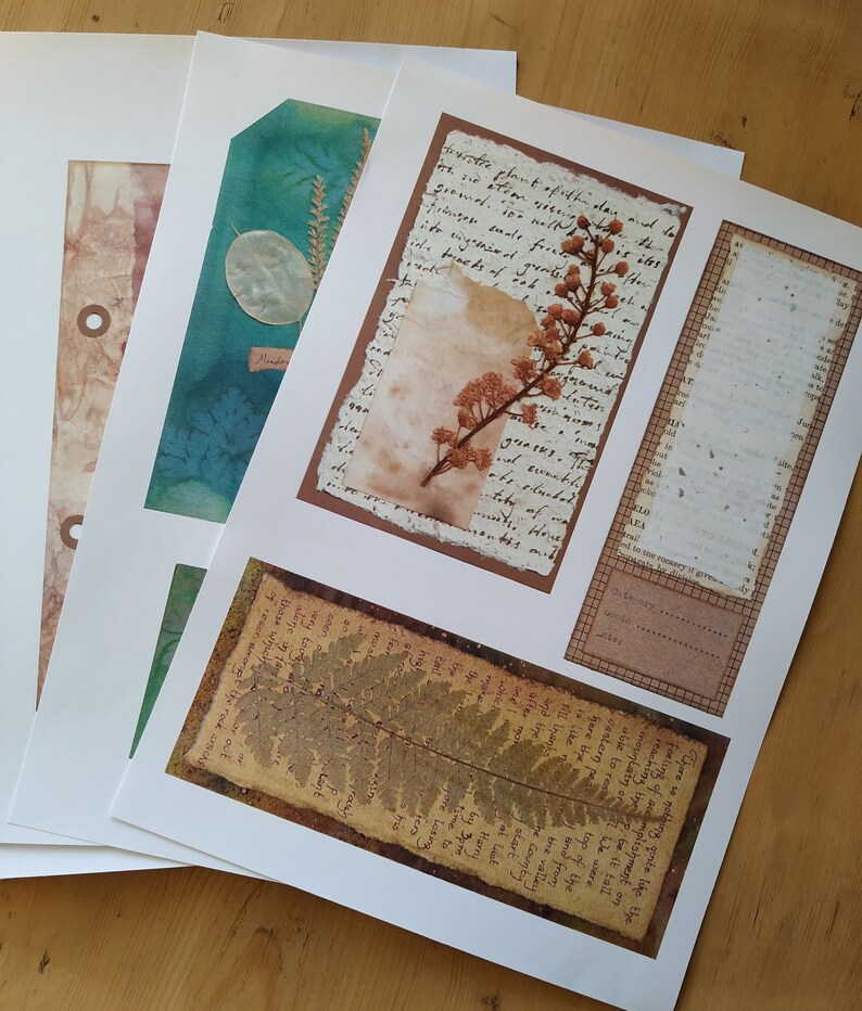 Specimen Card Set of 11 Digital Download - Etsy