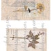 Specimen Card Set of 11 Digital Download - Etsy