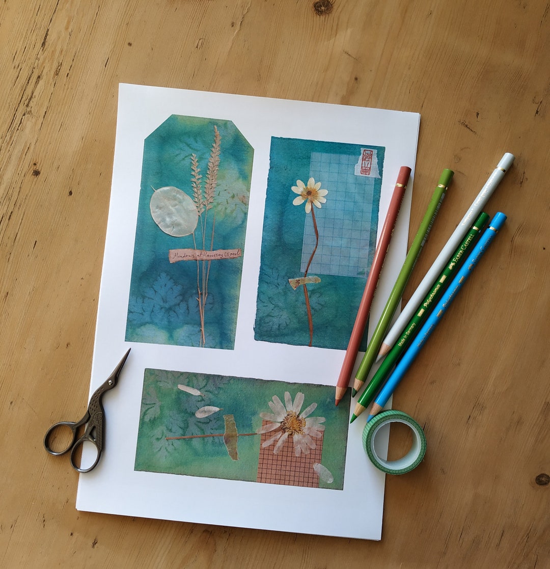 Specimen Card Set of 11 Digital Download - Etsy