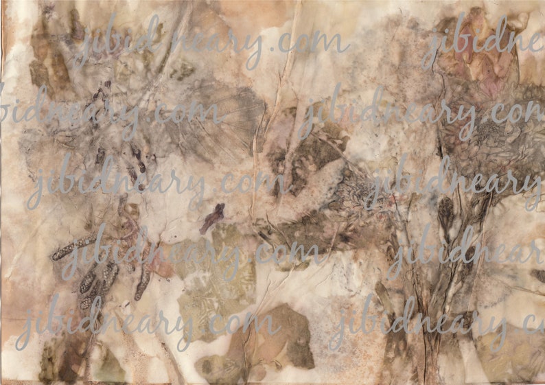 Leaf Litter, an Eco-dyed Paper Collection, 10 Pages - Etsy