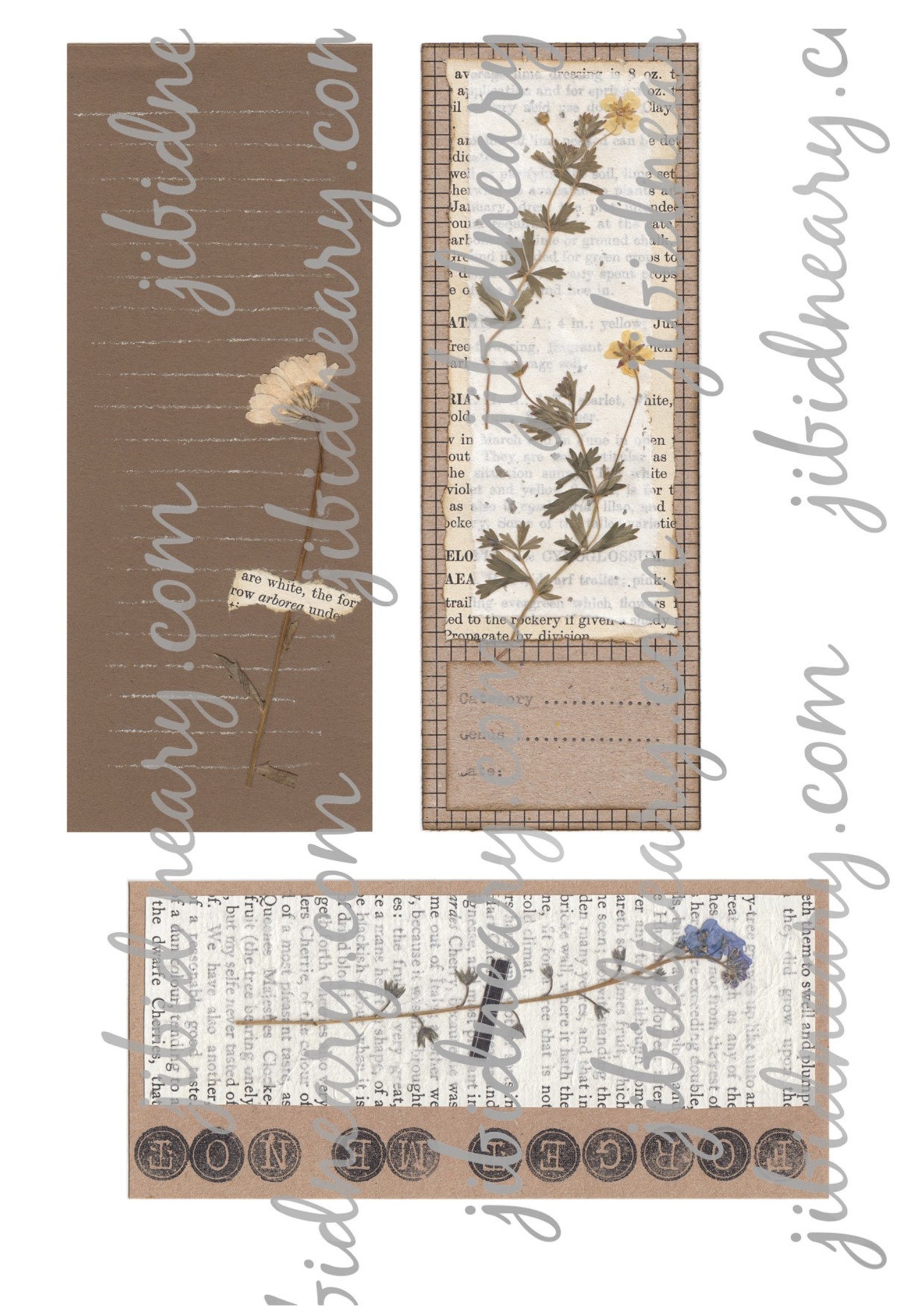 Specimen Card Set of 11 Digital Download - Etsy