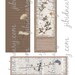 Specimen Card Set of 11 Digital Download - Etsy