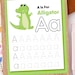 Preschool Curriculum | Animal Name Tracing Printable | Abc Letter ...