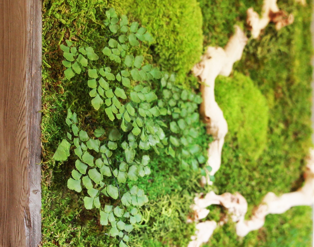 18 X 18 Artisan Moss® Plant Painting® Sandwood No Care Green Moss Wall ...