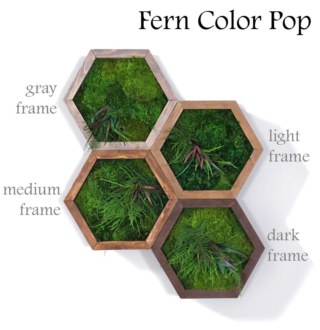Modular Hexagons (single Hex) 40 Moss and Fern Options to Design Your ...