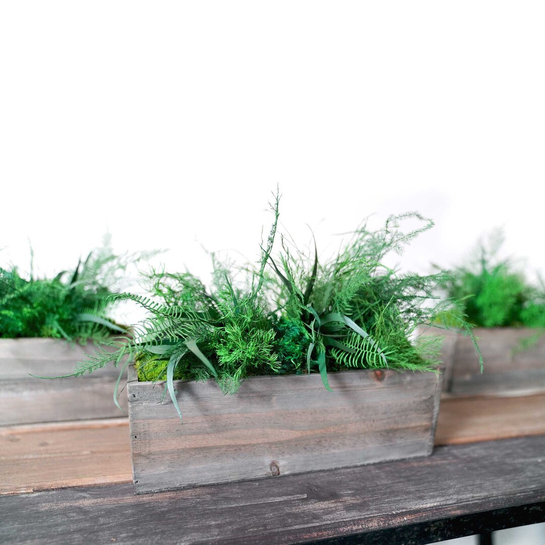 Set of 3 Wooden Planter Boxes With Preserved Moss and Ferns - No ...