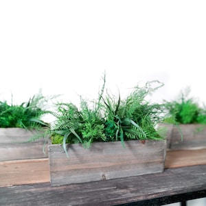 Set of 3 Wooden Planter Boxes With Preserved Moss and Ferns - No ...