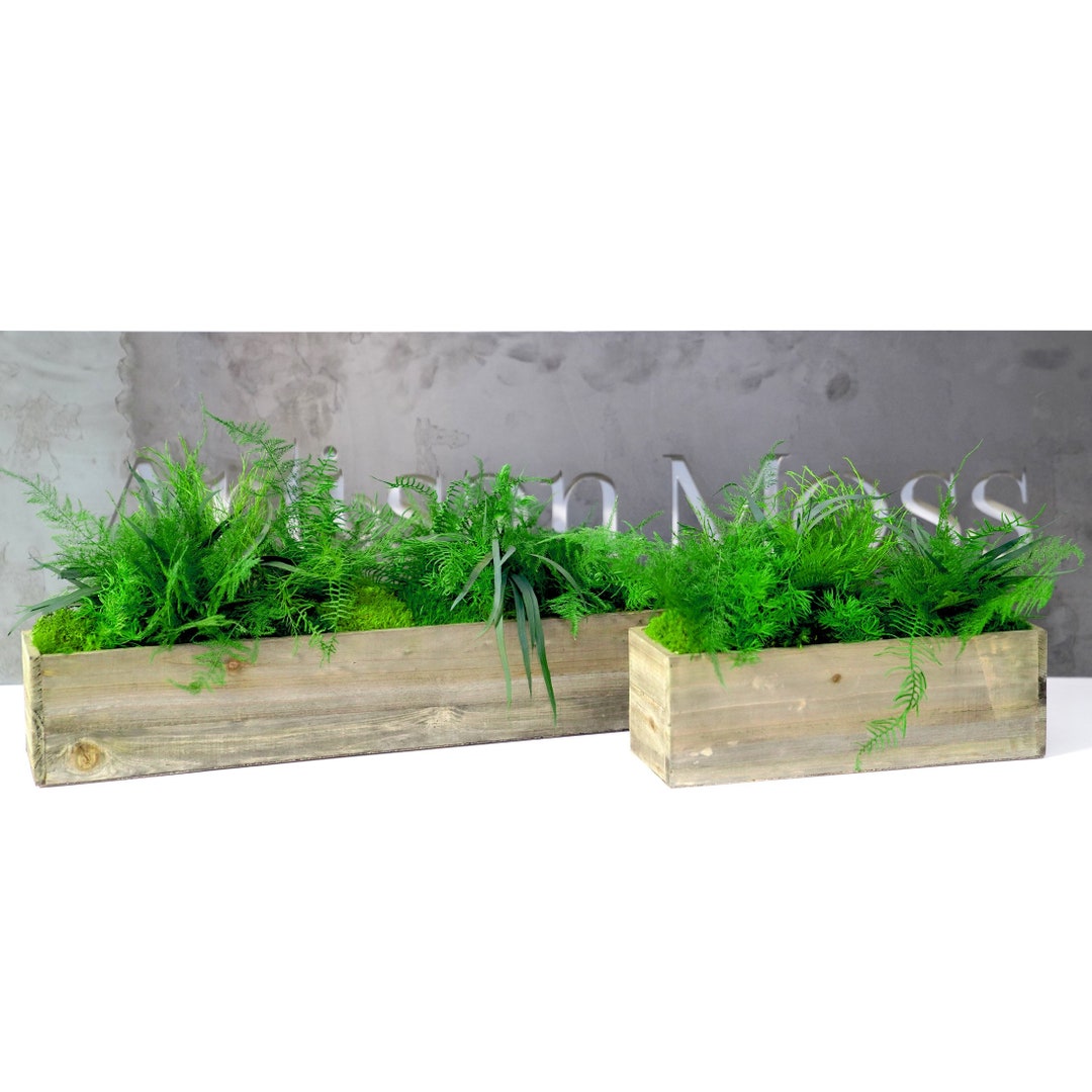 Set of 2 Wooden Planter Boxes With Preserved Moss and Ferns - No ...