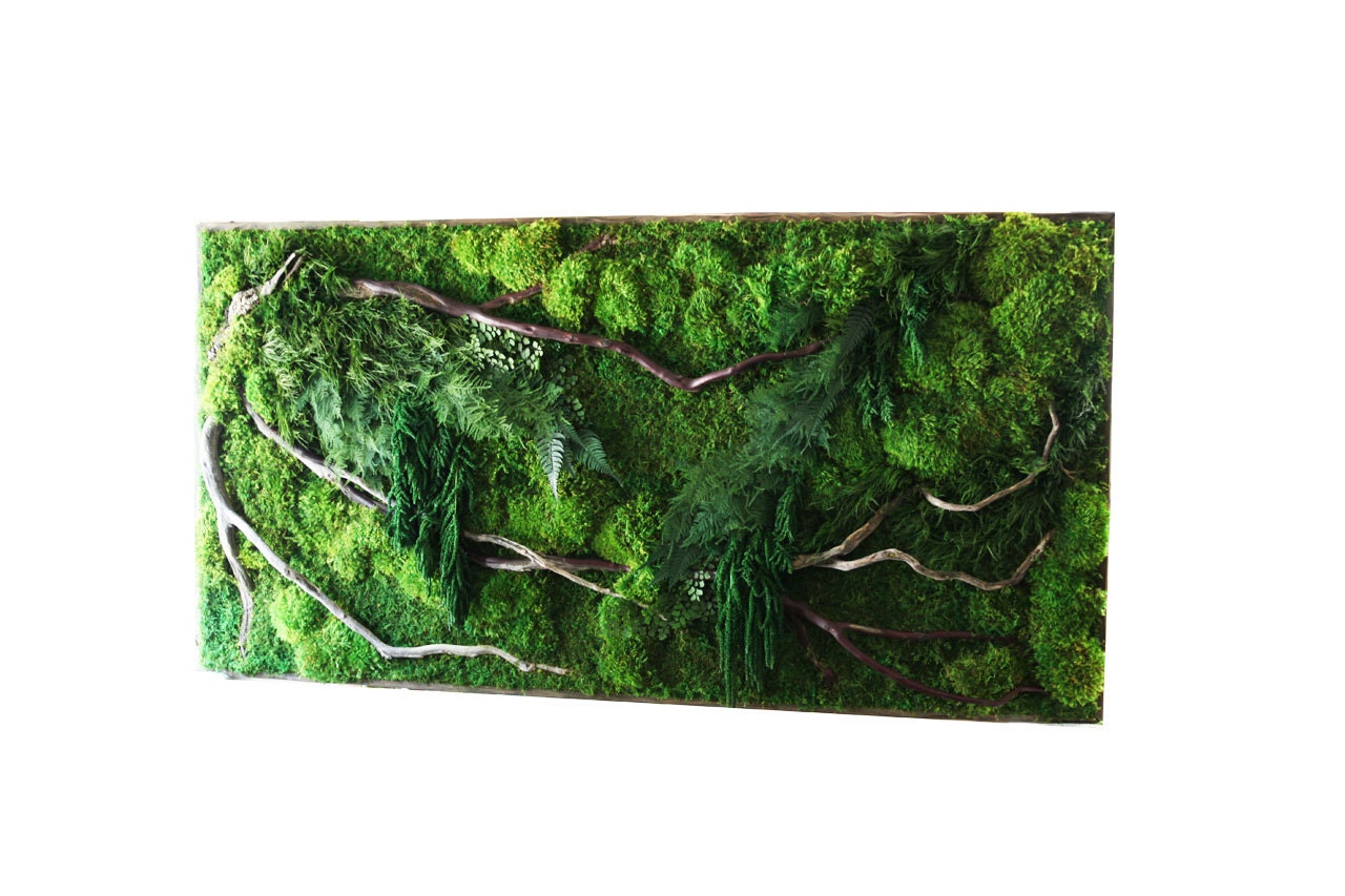 68 X 33 Artisan Moss® Red Branch Moss & Ferns - Etsy