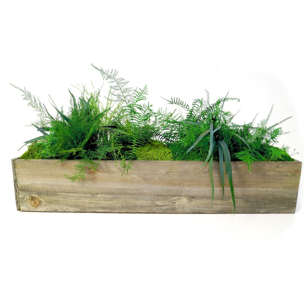 Large Wooden Planter Box With Preserved Moss and Ferns - No Watering - Etsy