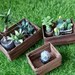Miniature Set Palms Cacti Plants Wooden Boxes Dollhouse Scale 1/12 - Etsy