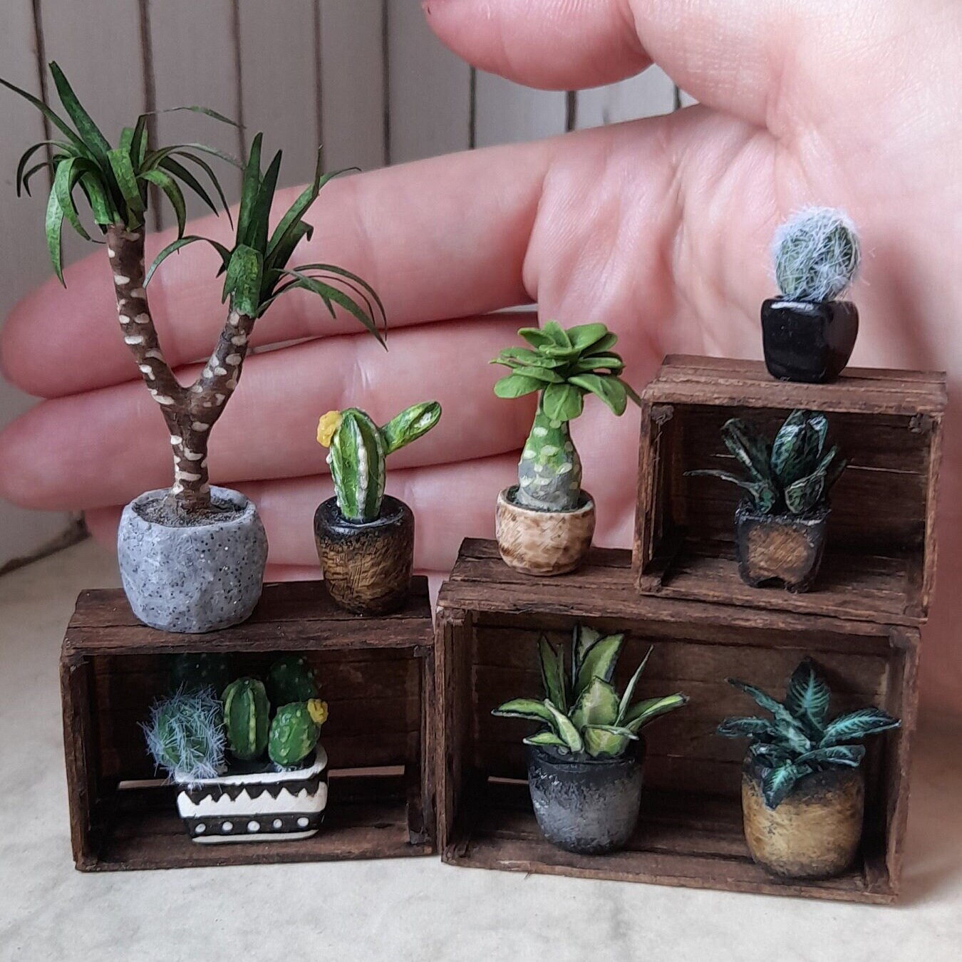 Miniature Set Palms Cacti Plants Wooden Boxes Dollhouse Scale 1/12 - Etsy