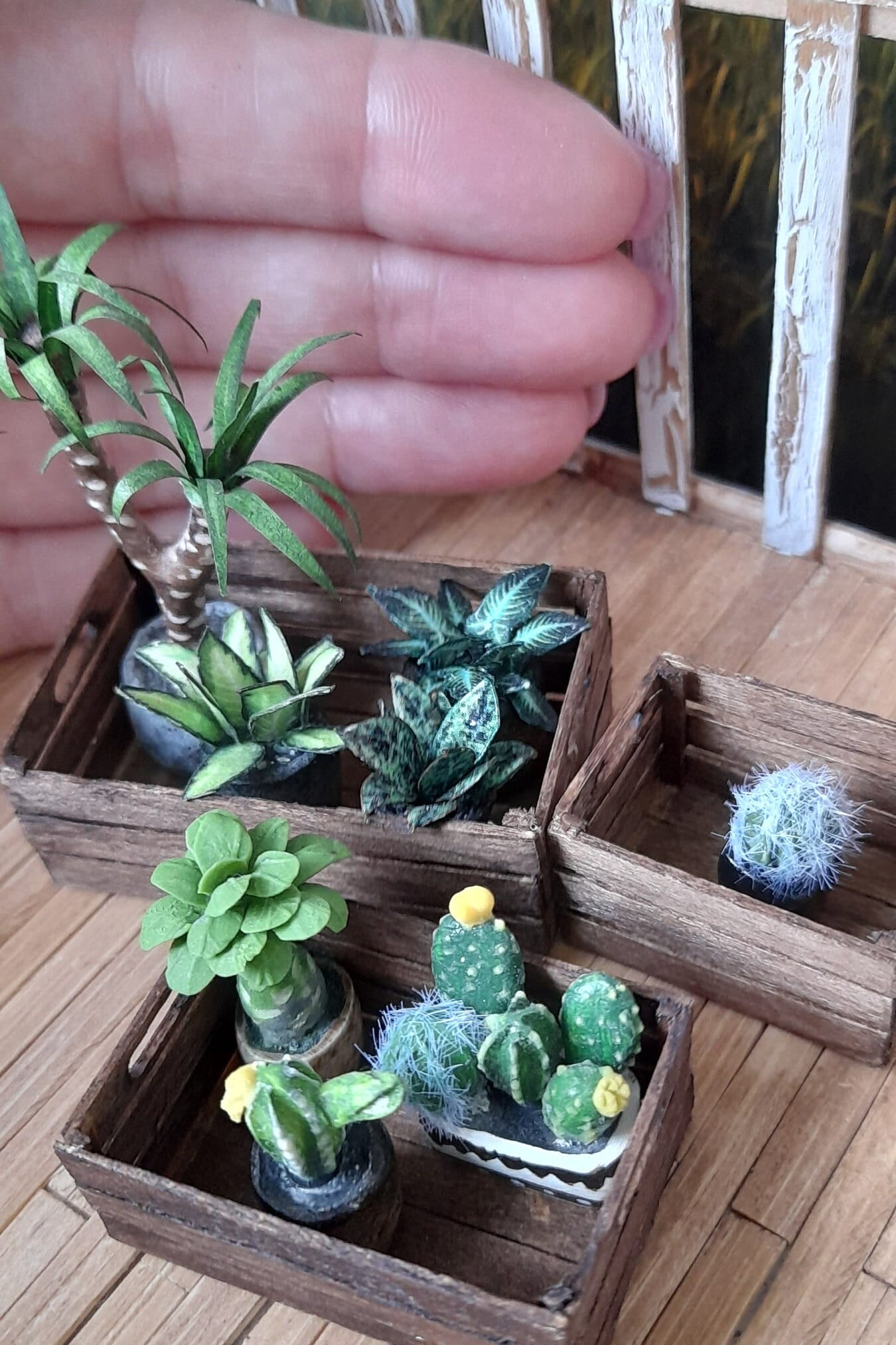 Miniature Set Palms Cacti Plants Wooden Boxes Dollhouse Scale 1/12 - Etsy