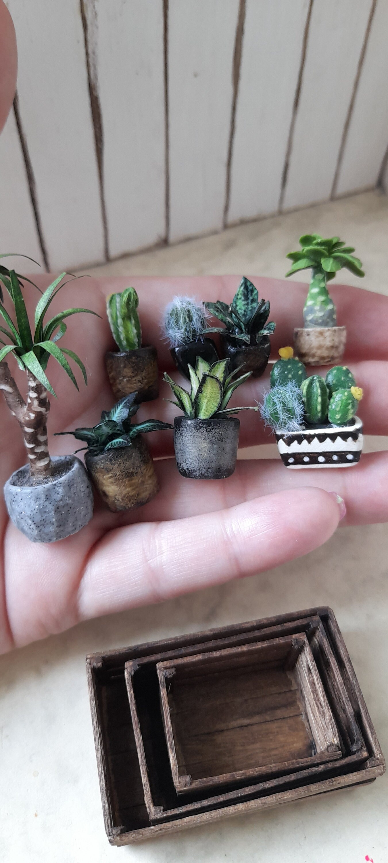 Miniature Set Palms Cacti Plants Wooden Boxes Dollhouse Scale 1/12 - Etsy
