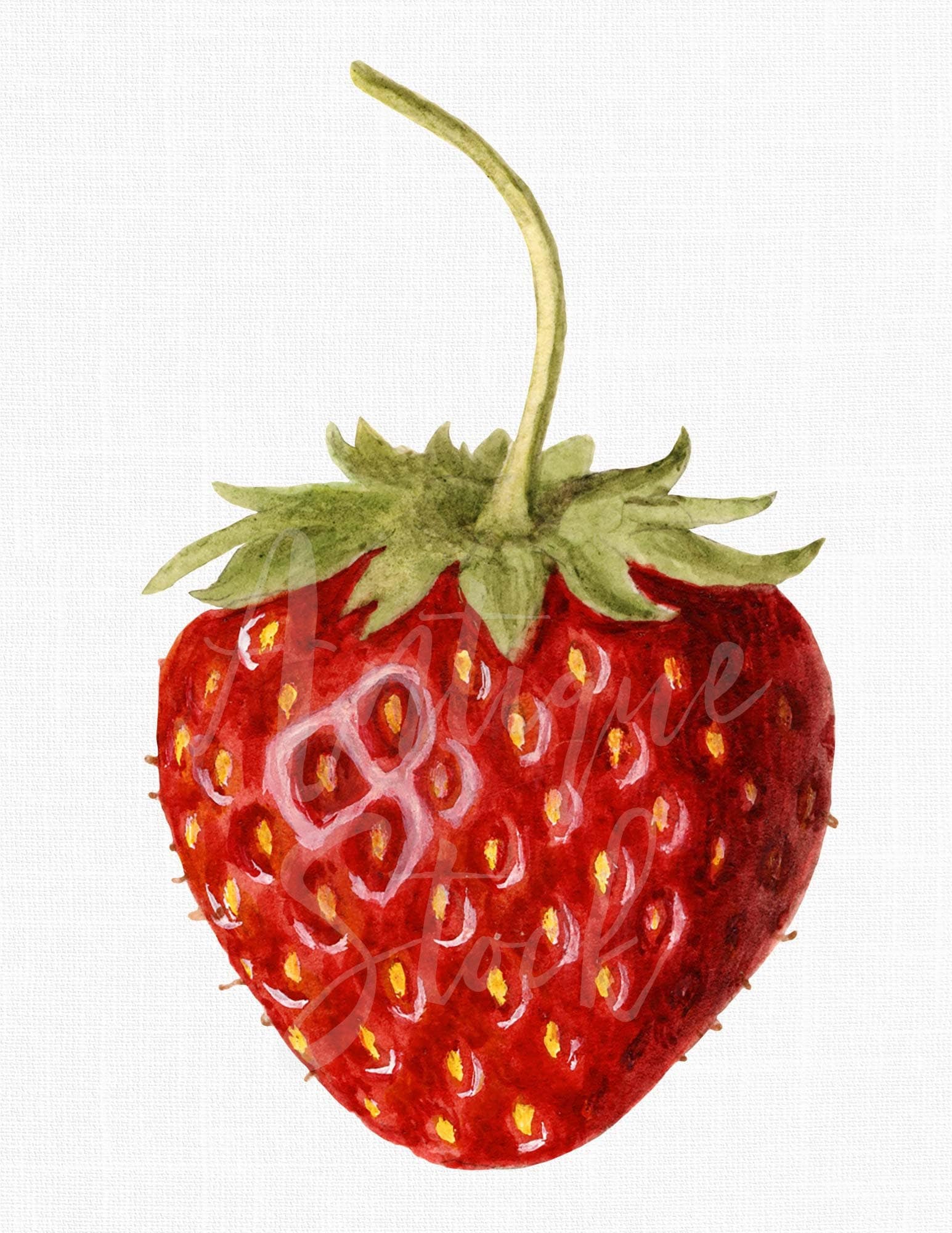 Strawberry Image Digital Download strawberry Fruit Botanical ...