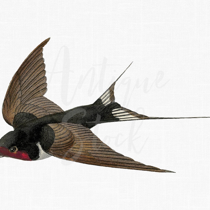 Stencil Flying Swallows - Etsy