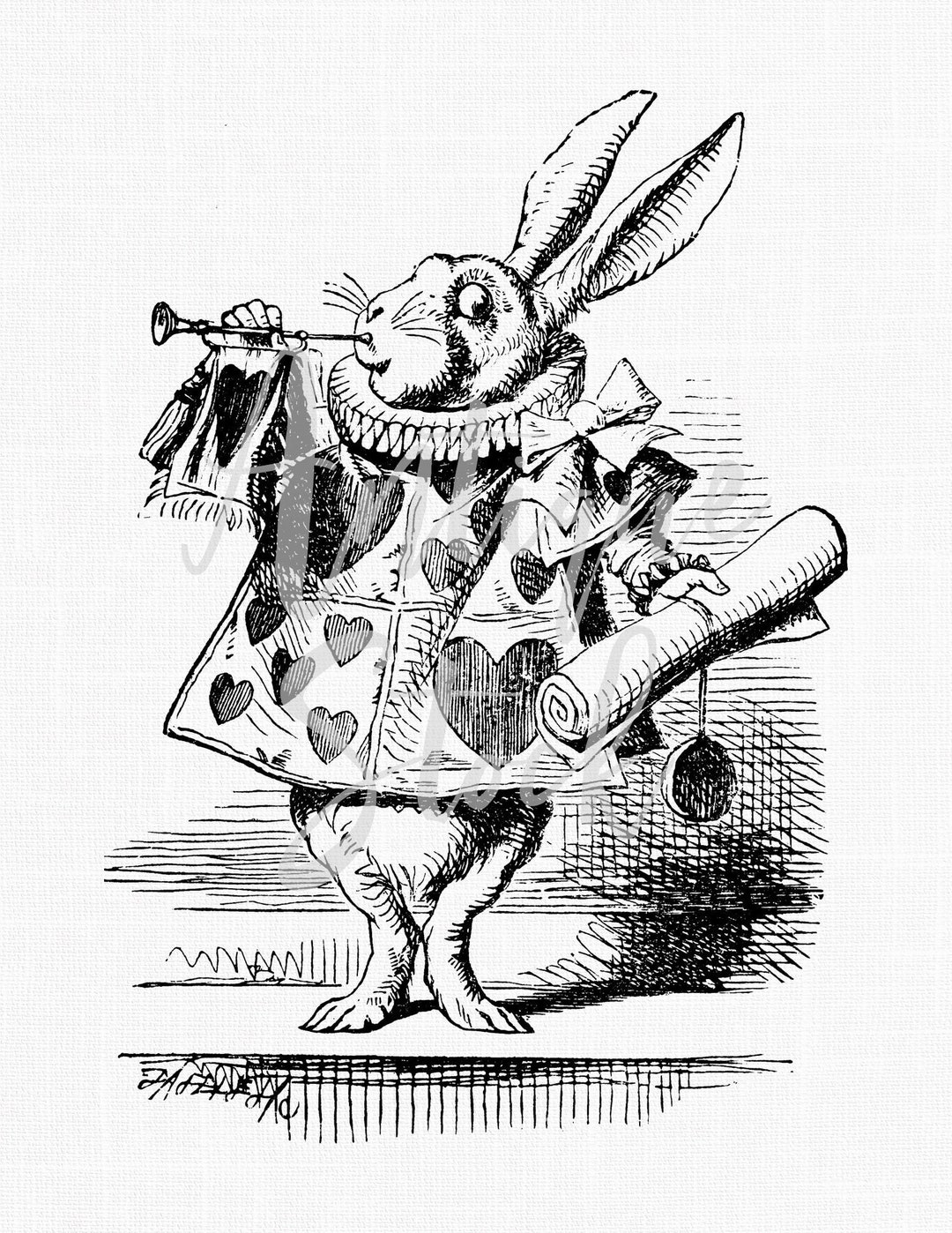White Rabbit Vintage Image Clipart Alice in Wonderland Drawing ...