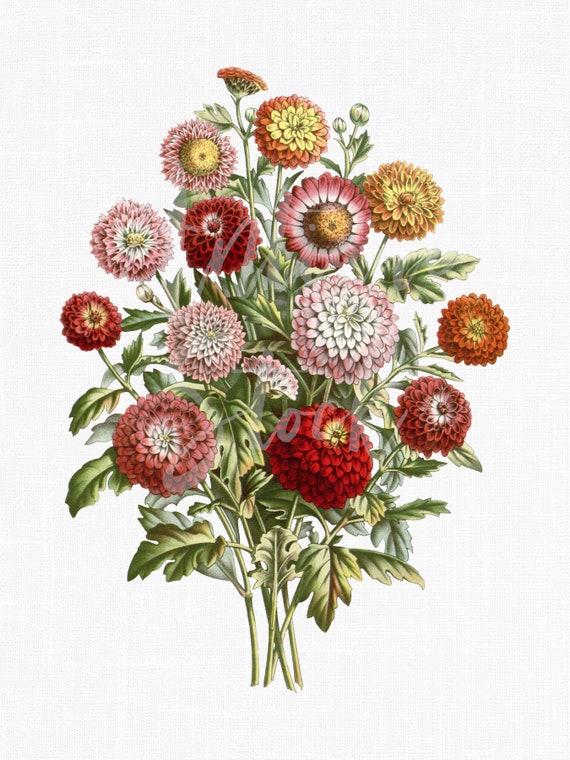 Constitutionalism Clipart Of Flowers
