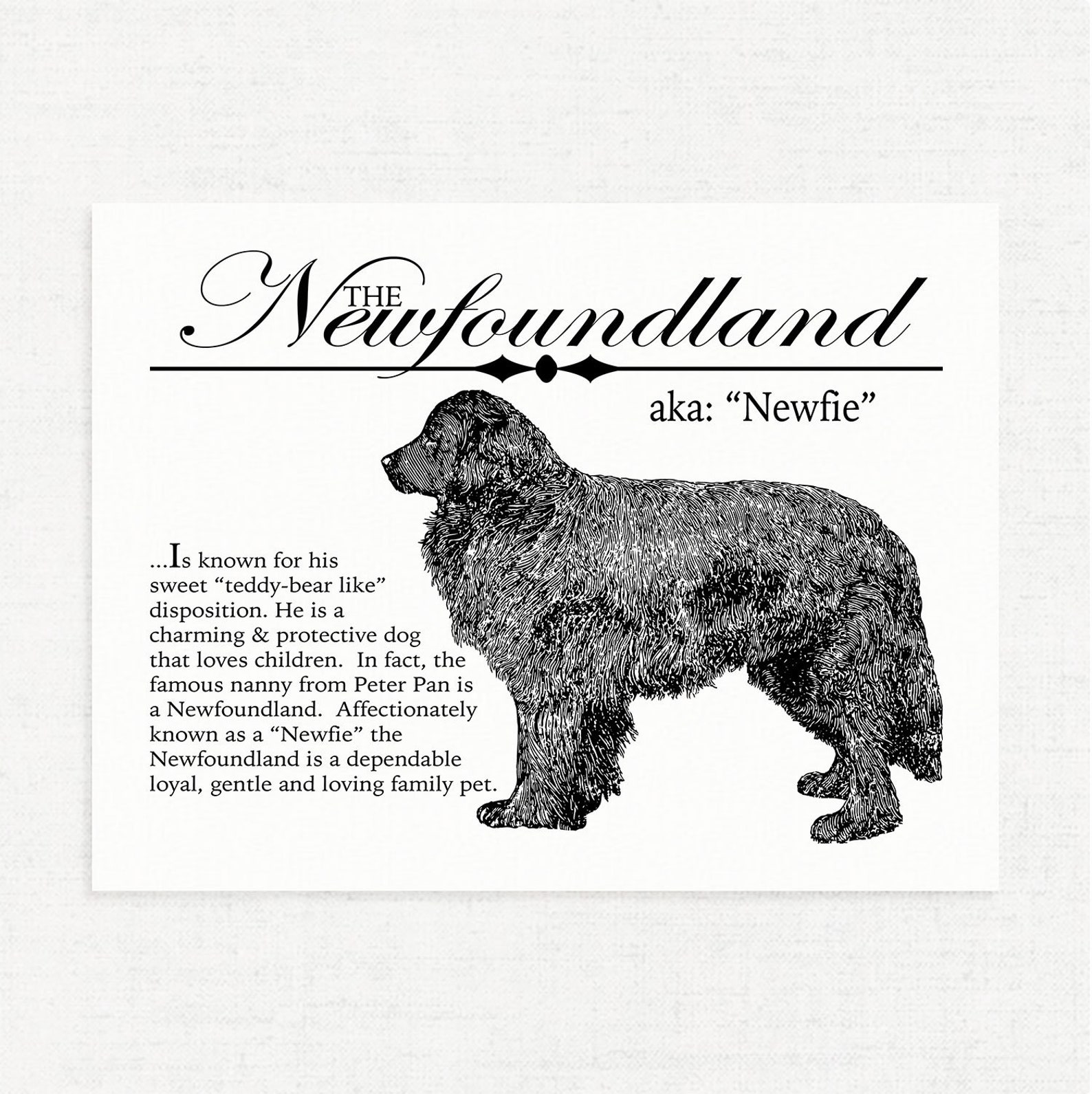 Newfoundland newfie Vintage Inspired Wall Art Home Decor | Etsy