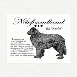 Newfoundland (newfie) - Vintage Inspired Wall Art Home Decor Print With ...