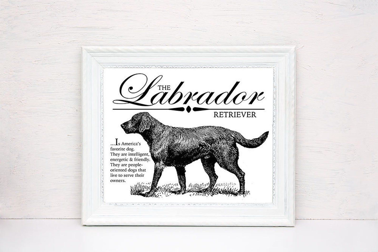 Labrador lab Typography Wall Art Print With Dictionary | Etsy
