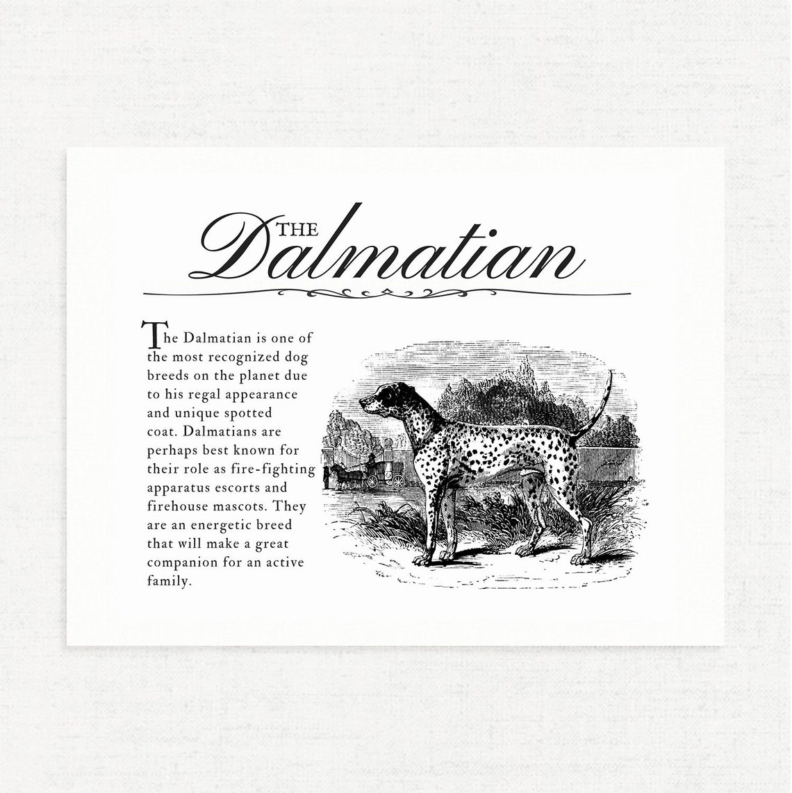 Dalmatian Typography Wall Art Printable Home Decor Print | Etsy